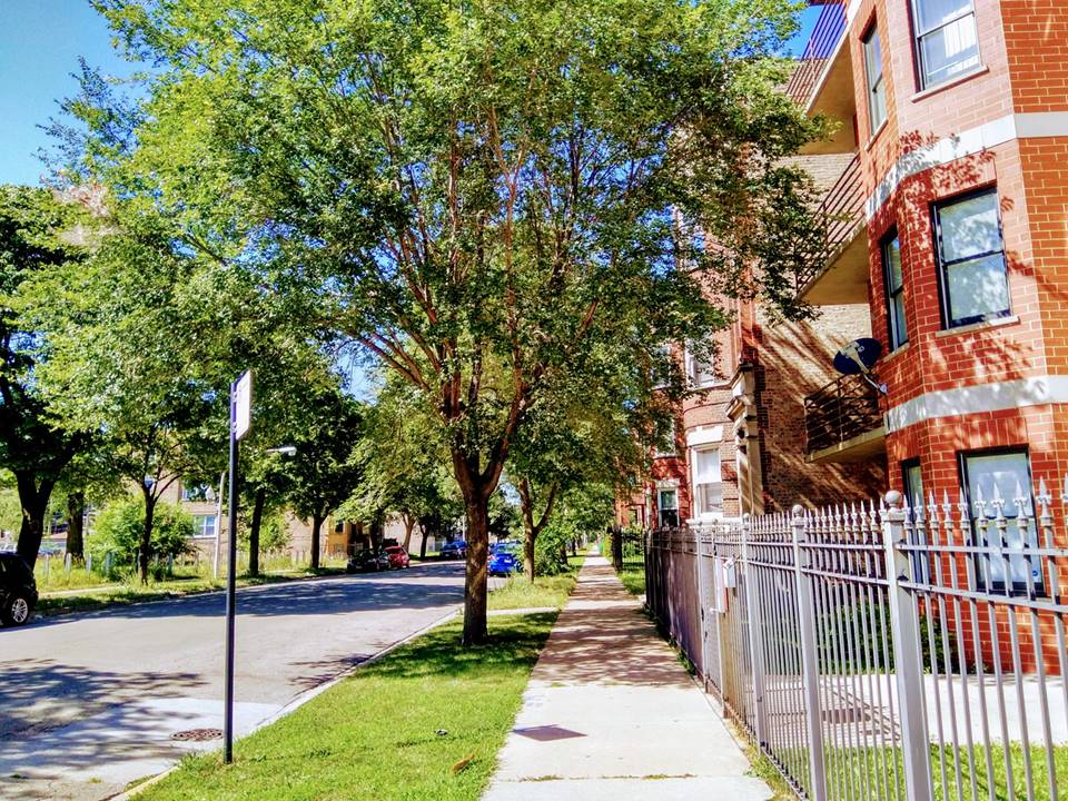 4755 S St Lawrence, Unit C3, Chicago, IL 60615 - Bronzeville