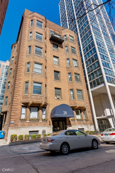 20 E Goethe, Apt 306, Chicago, IL 60610 - Gold Coast