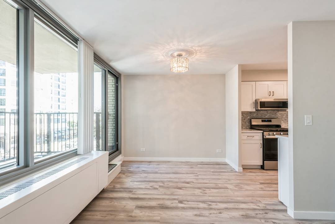 400 E Randolph, Apt 808, Chicago, IL 60601 - New Eastside