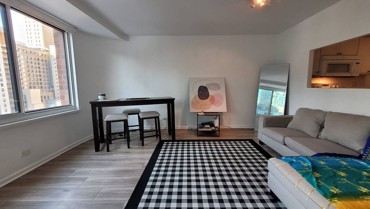 211 E Ohio, Apt 2211, Chicago, IL 60611 - Streeterville