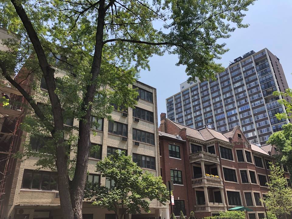 1419 N State, Apt 305, Chicago, IL 60610 - Gold Coast