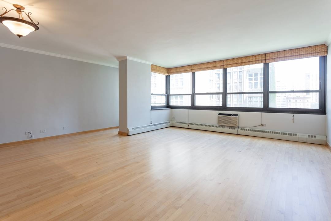 33 E Cedar, Unit 10E, Chicago, IL 60611 - Gold Coast
