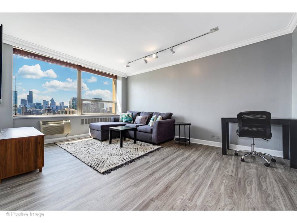 1360 N Sandburg, Apt 2909, Chicago, IL 60610 - Old Town