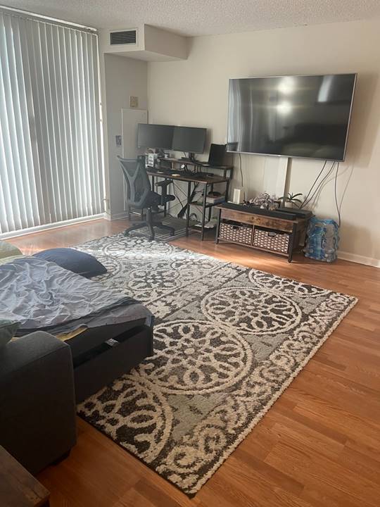 200 N Dearborn, Apt 4508, Chicago, IL 60601 - The Loop
