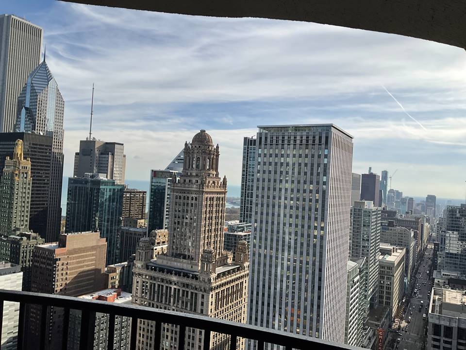 300 N State, Apt 5032, Chicago, IL 60654 - River North