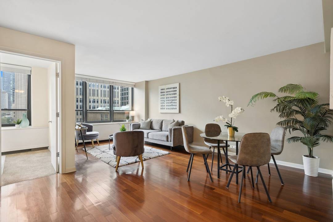 222 E Pearson, Unit 804, Chicago, IL 60611 - Streeterville