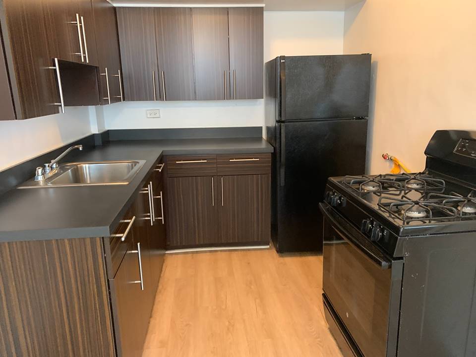 2756 N Pine Grove, Apt 1001, Chicago, IL 60614 - Lincoln Park