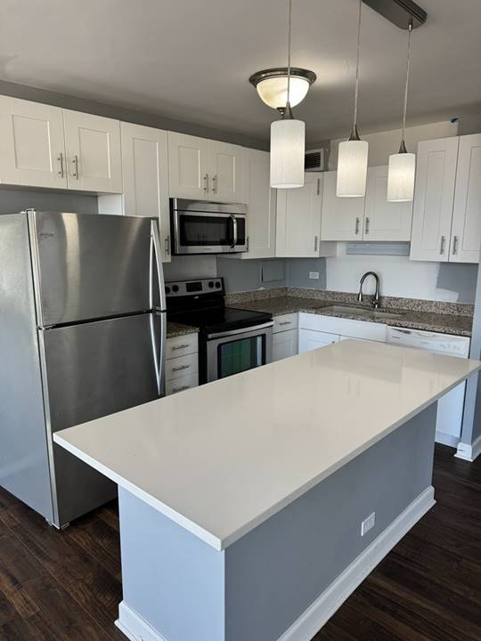 360 W Wellington, Apt 7C, Chicago, IL 60657 - Lakeview