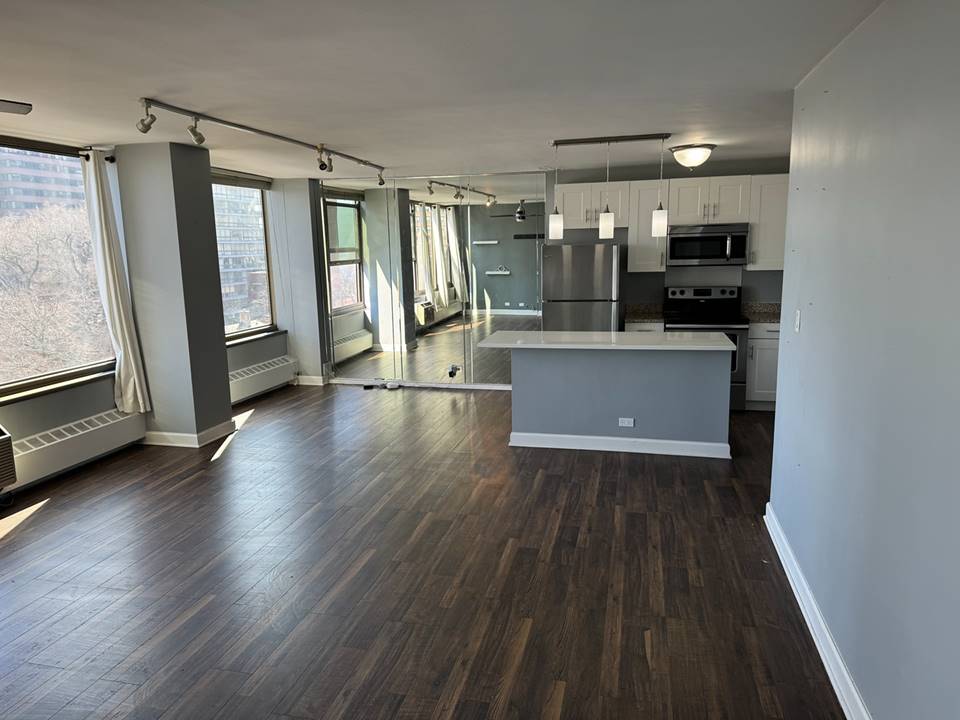 360 W Wellington, Apt 7C, Chicago, IL 60657 - Lakeview