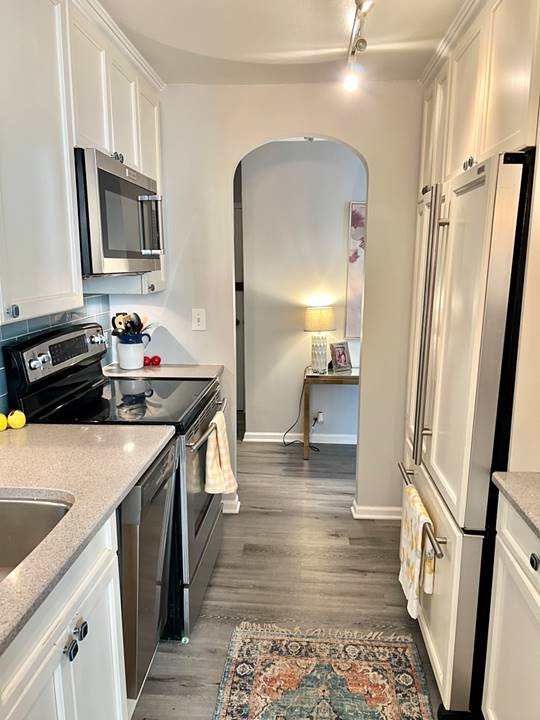 1460 N Sandburg, Apt 1401, Chicago, IL 60610 - Old Town