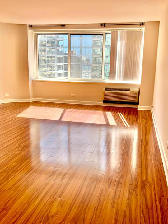 211 E Ohio, Apt 2720, Chicago, IL 60611 - Streeterville