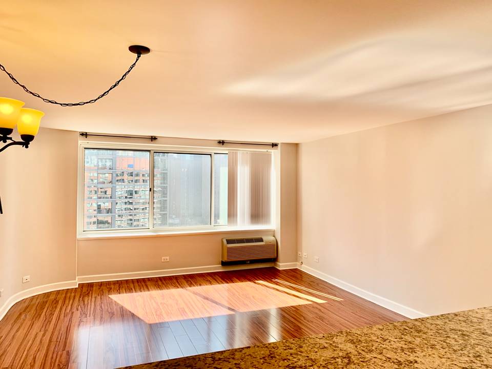 211 E Ohio, Apt 2720, Chicago, IL 60611 - Streeterville