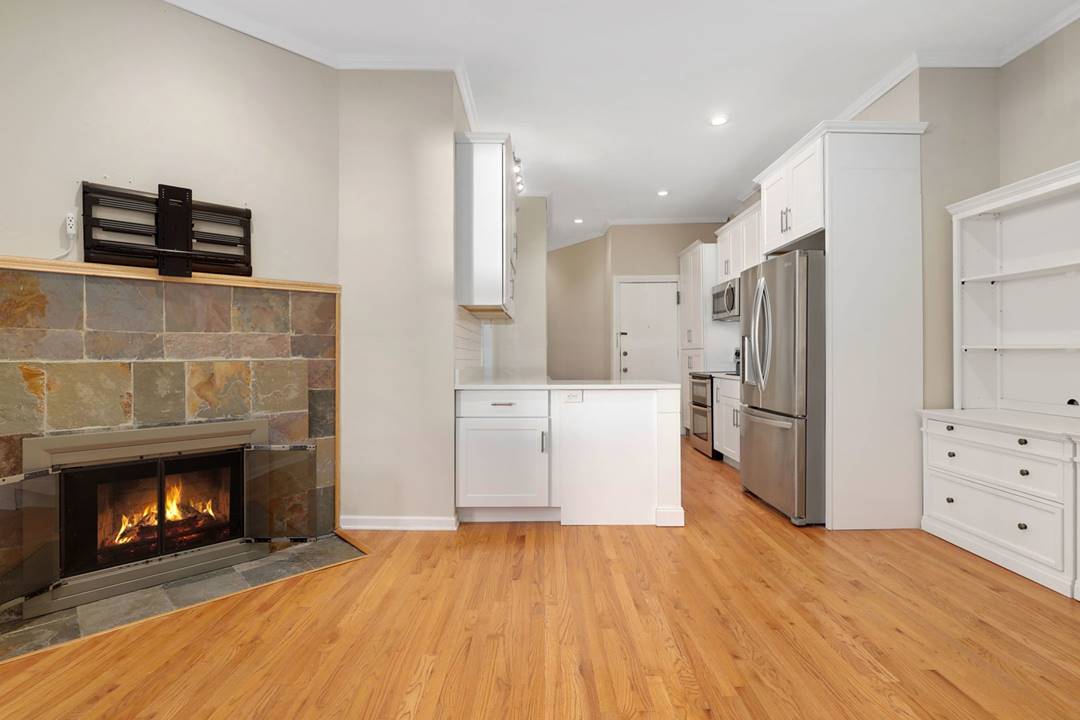 20 E Goethe, Unit 403, Chicago, IL 60610 - Gold Coast
