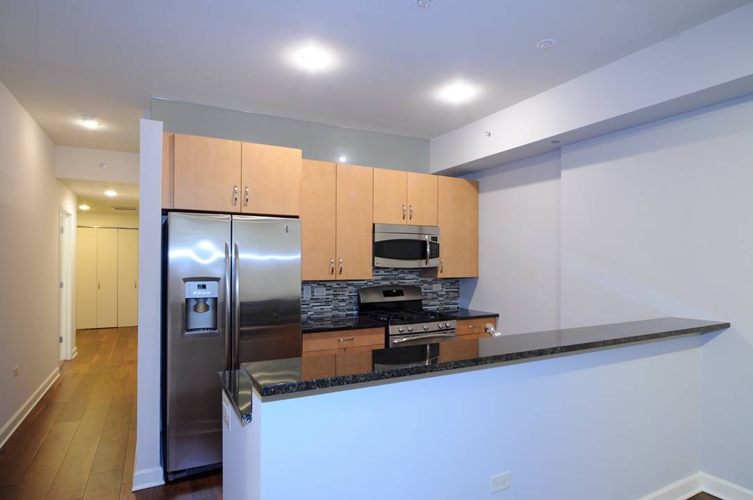 310 S Michigan, Apt 709, Chicago, IL 60604 - The Loop