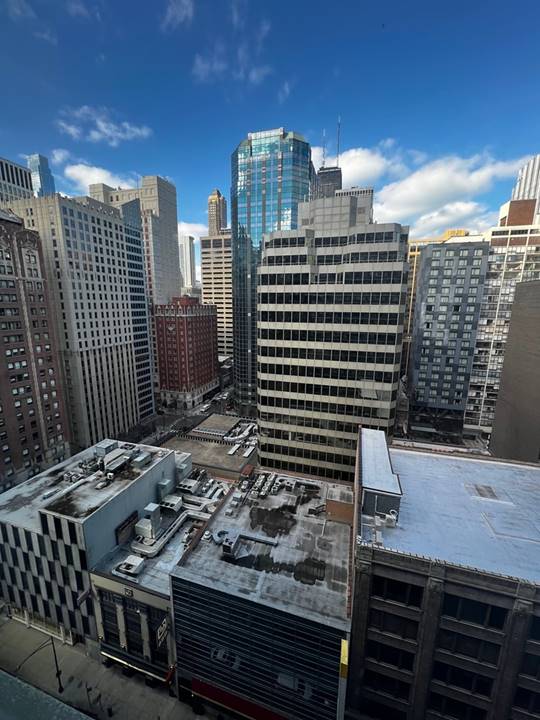 211 E Ohio, Apt 2004, Chicago, IL 60611 - Streeterville
