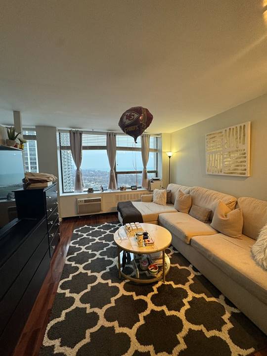 1460 N Sandburg, Apt 2504, Chicago, IL 60610 - Old Town