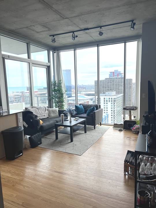1720 S Michigan, Apt 2308, Chicago, IL 60616 - South Loop