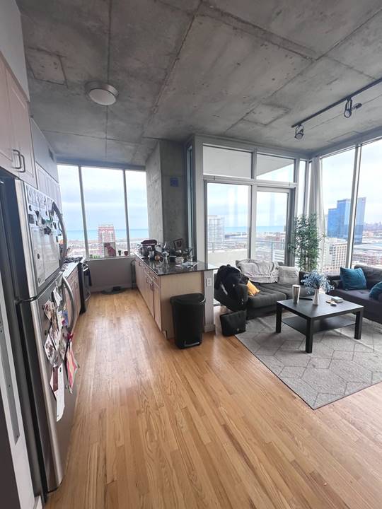1720 S Michigan, Apt 2308, Chicago, IL 60616 - South Loop