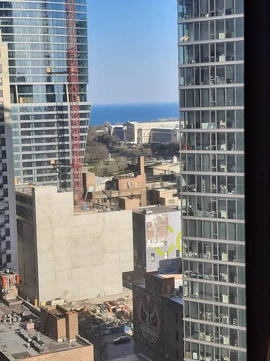 899 S Plymouth, Unit 2306, Chicago, IL 60605 - South Loop