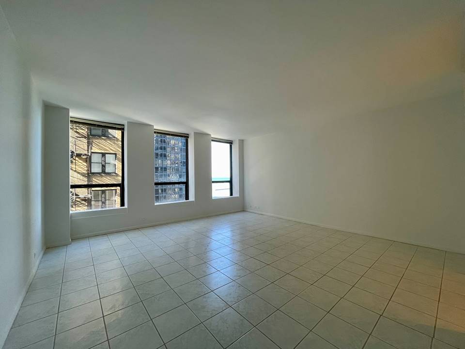 260 E Chestnut, Apt 808, Chicago, IL 60611 - Streeterville