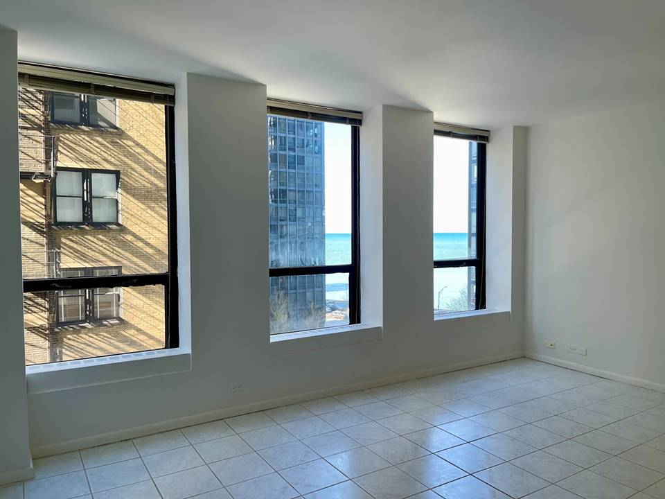 260 E Chestnut, Apt 808, Chicago, IL 60611 - Streeterville