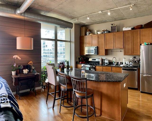 700 N Larrabee, Apt 1208, Chicago, IL 60654 - River North