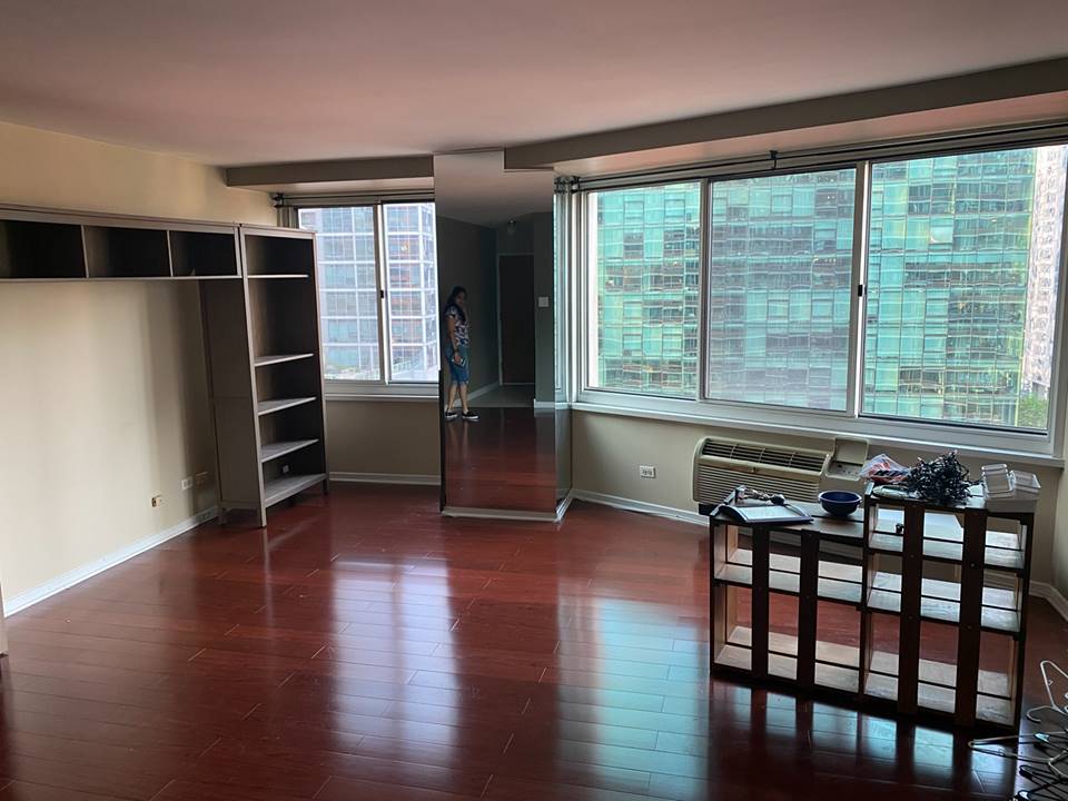 211 E Ohio, Apt 2116, Chicago, IL 60611 - Streeterville