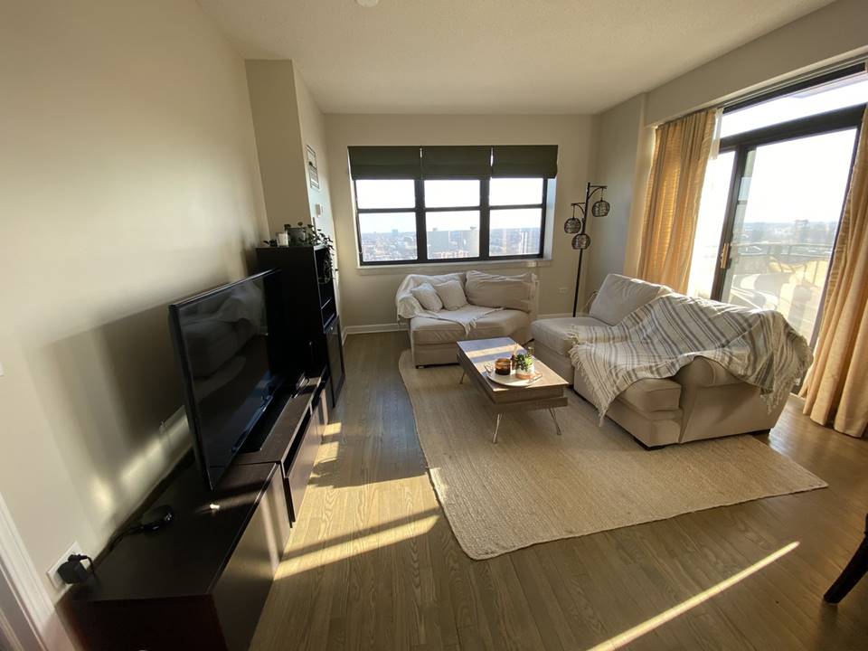 1529 S State, Apt 20H, Chicago, IL 60605 - South Loop