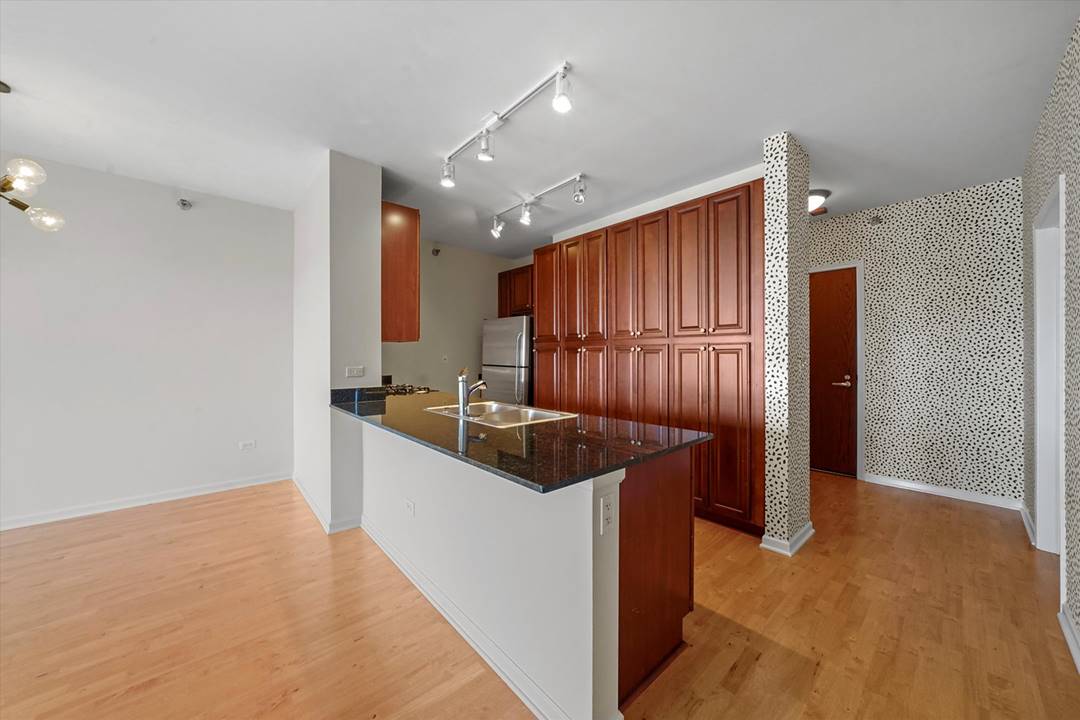 1255 S State, Apt 1006, Chicago, IL 60605 - South Loop