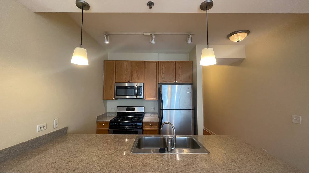 1400 S Michigan, Apt 1411, Chicago, IL 60605 - South Loop