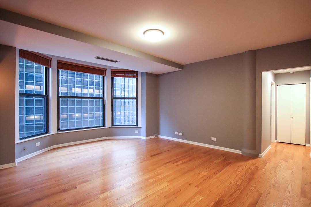431 S Dearborn, Apt 609, Chicago, IL 60605 - The Loop