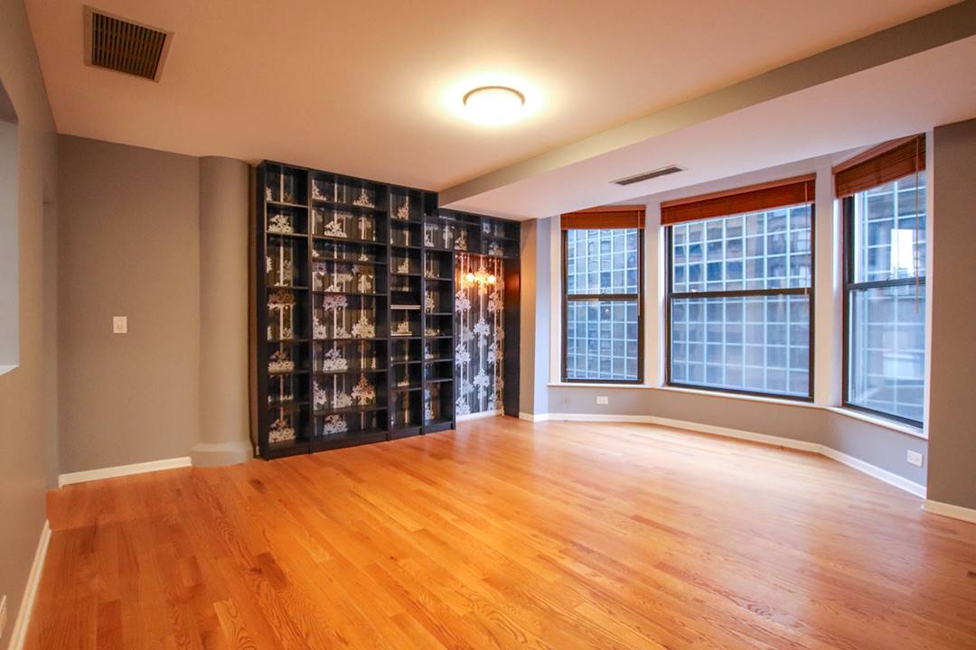 431 S Dearborn, Apt 609, Chicago, IL 60605 - The Loop