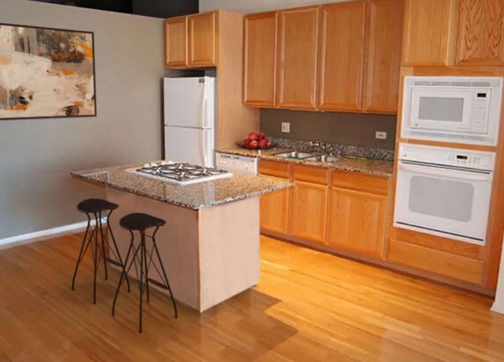 1530 S State, Apt 510, Chicago, IL 60605 - South Loop
