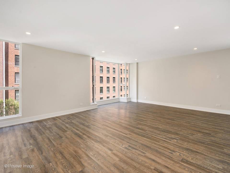 227 E Walton, Apt 12W, Chicago, IL 60611 - Streeterville