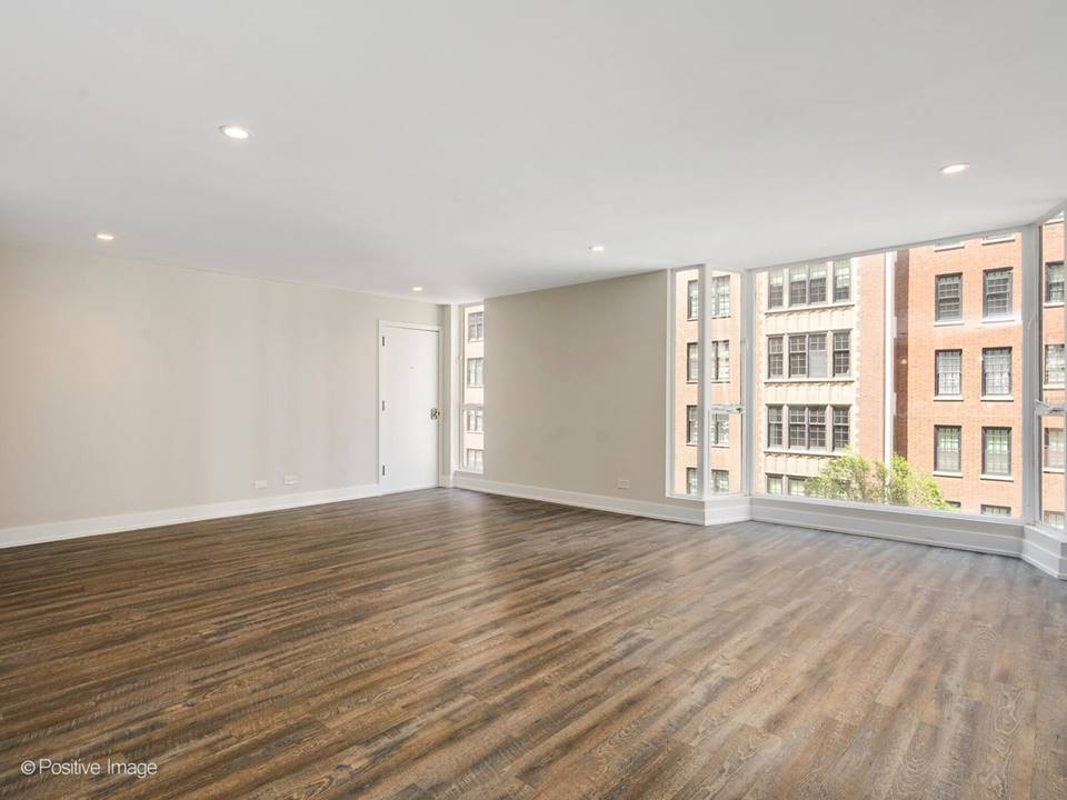 227 E Walton, Apt 12W, Chicago, IL 60611 - Streeterville