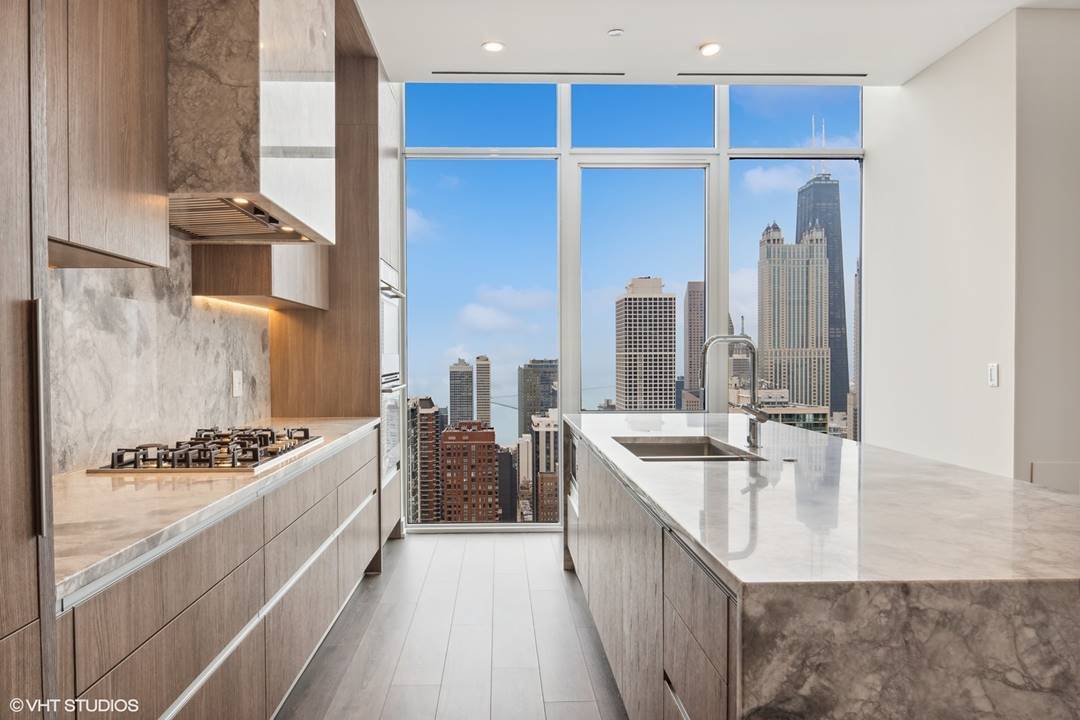 202 W Hill, Apt 3902, Chicago, IL 60610 - Near North