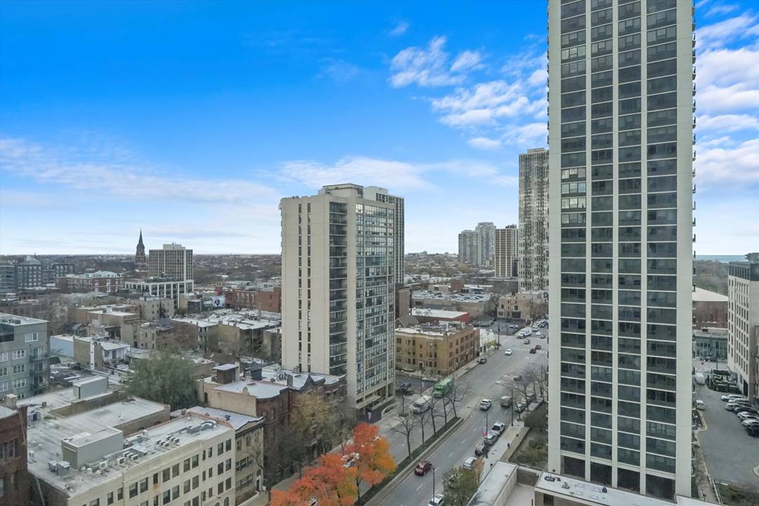 1460 N Sandburg, Unit 1610, Chicago, IL 60610 - Old Town
