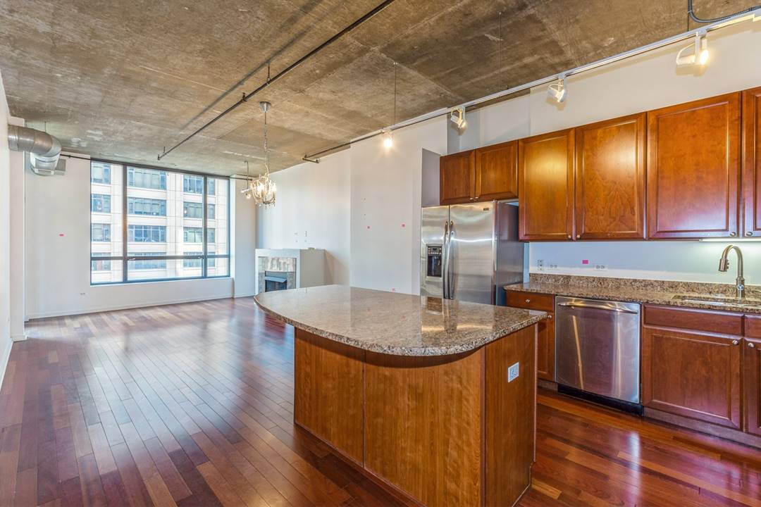 520 S State, Apt 708, Chicago, IL 60605 - South Loop