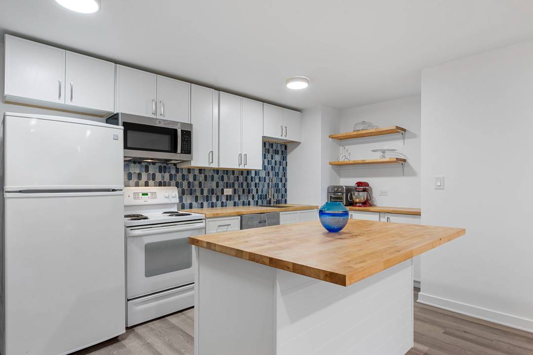 233 E Erie, Unit 1605, Chicago, IL 60611 - Streeterville