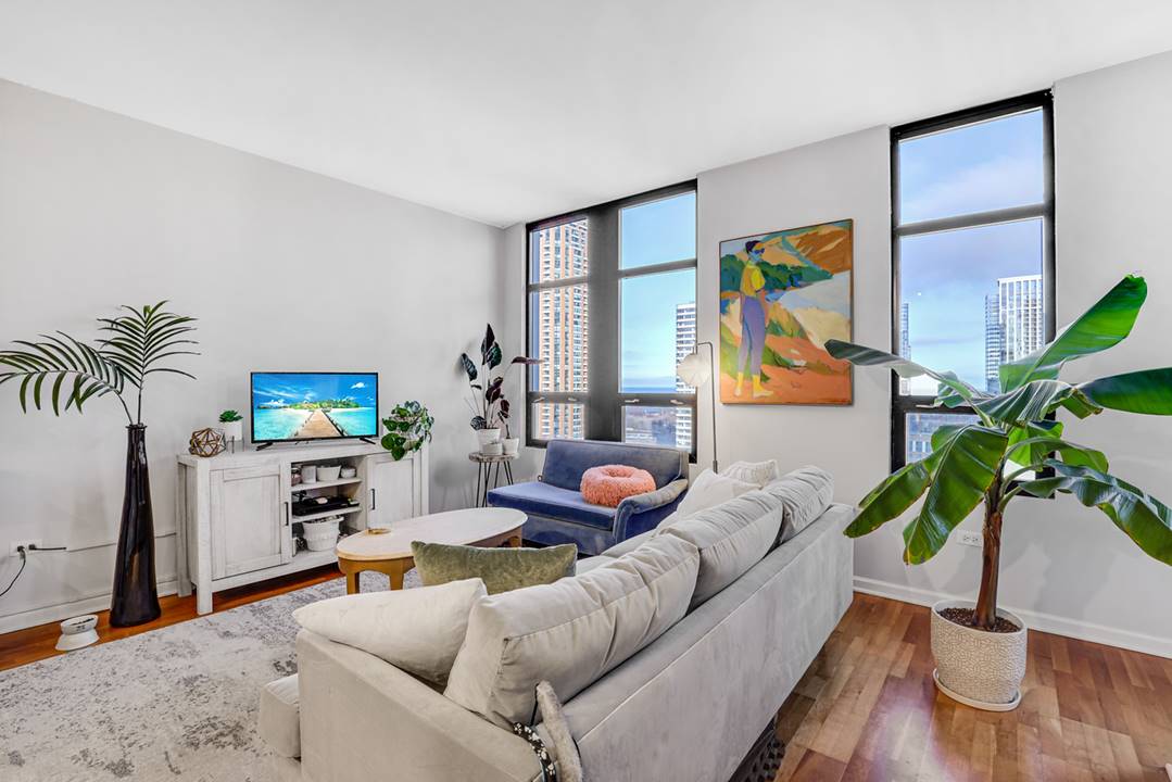 1255 S State, Apt 1809, Chicago, IL 60605 - South Loop