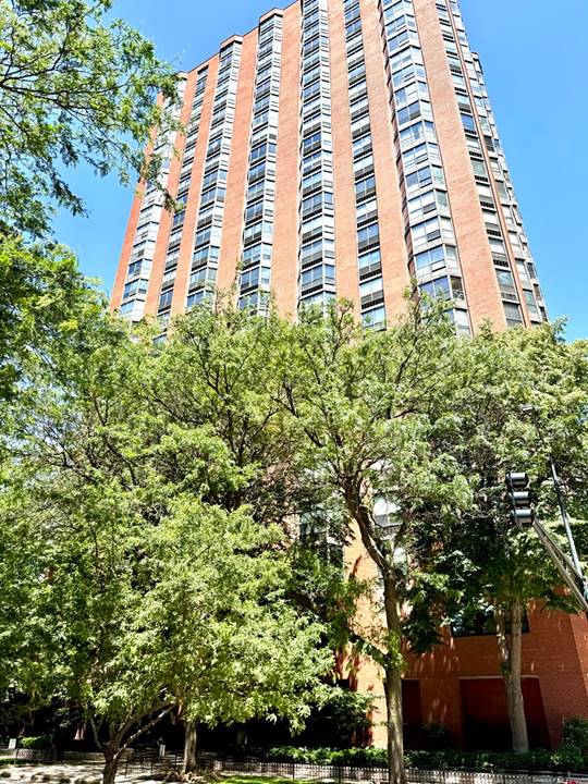 899 S Plymouth, Unit 2007, Chicago, IL 60605 - South Loop