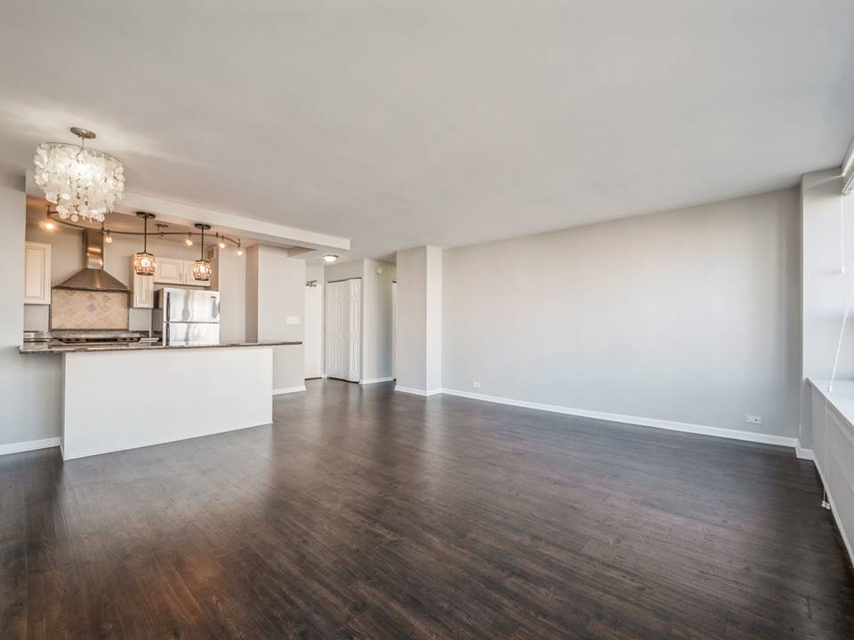 1360 N Sandburg, Apt 1108, Chicago, IL 60610 - Old Town