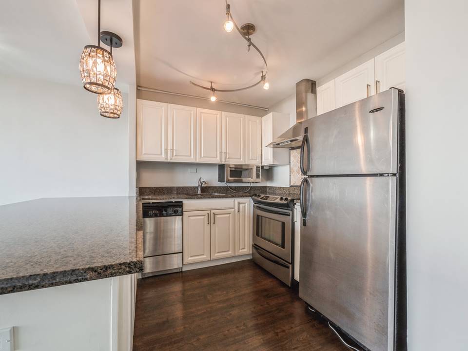 1360 N Sandburg, Apt 1108, Chicago, IL 60610 - Old Town