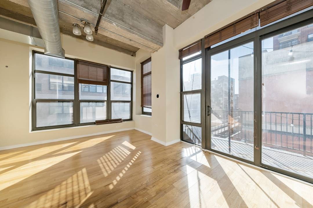 1503 S State, Apt 408, Chicago, IL 60605 - South Loop