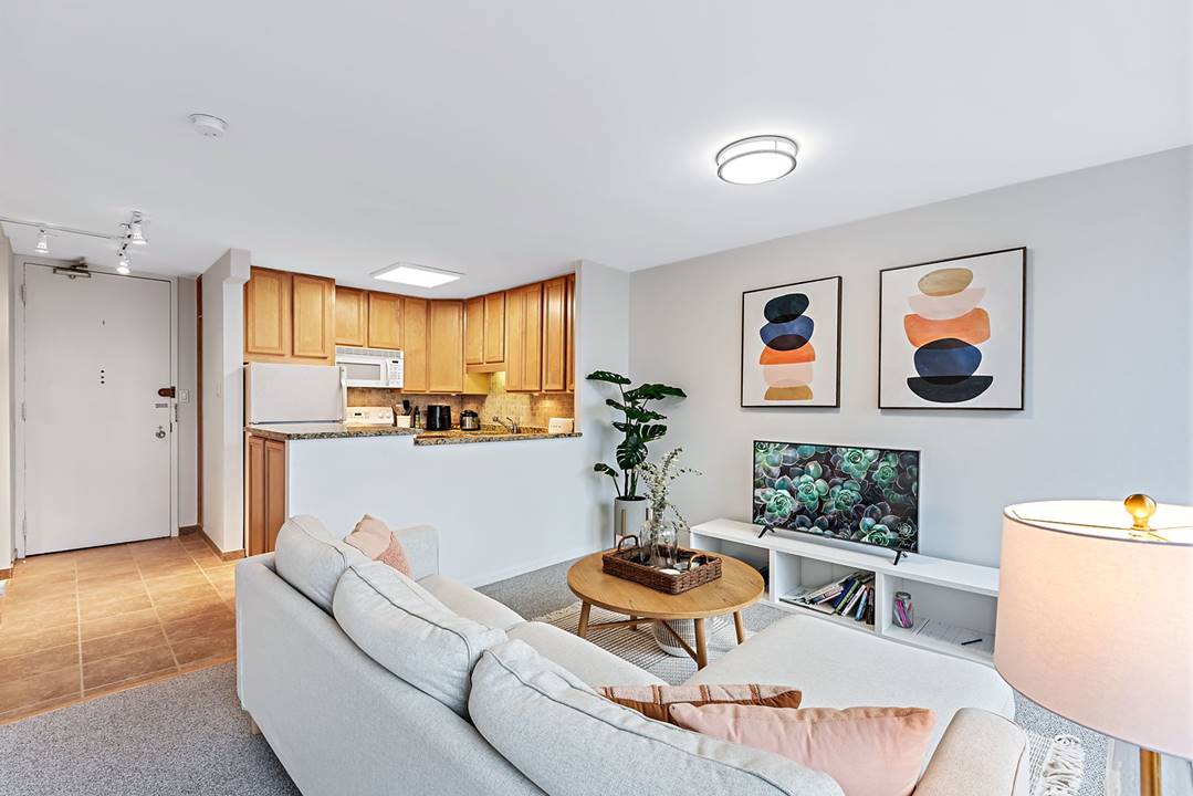 111 E Chestnut, Apt 22E, Chicago, IL 60611 - Gold Coast