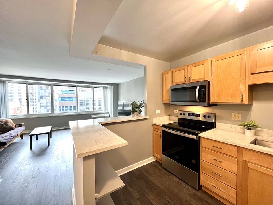 211 E Ohio, Apt 2125, Chicago, IL 60611 - Streeterville