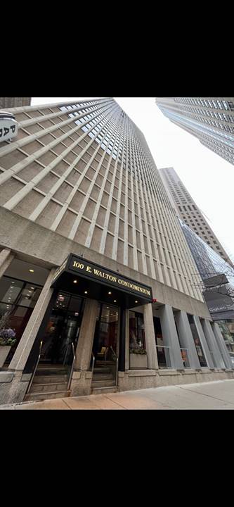 100 E Walton, Apt 16G, Chicago, IL 60611 - Gold Coast