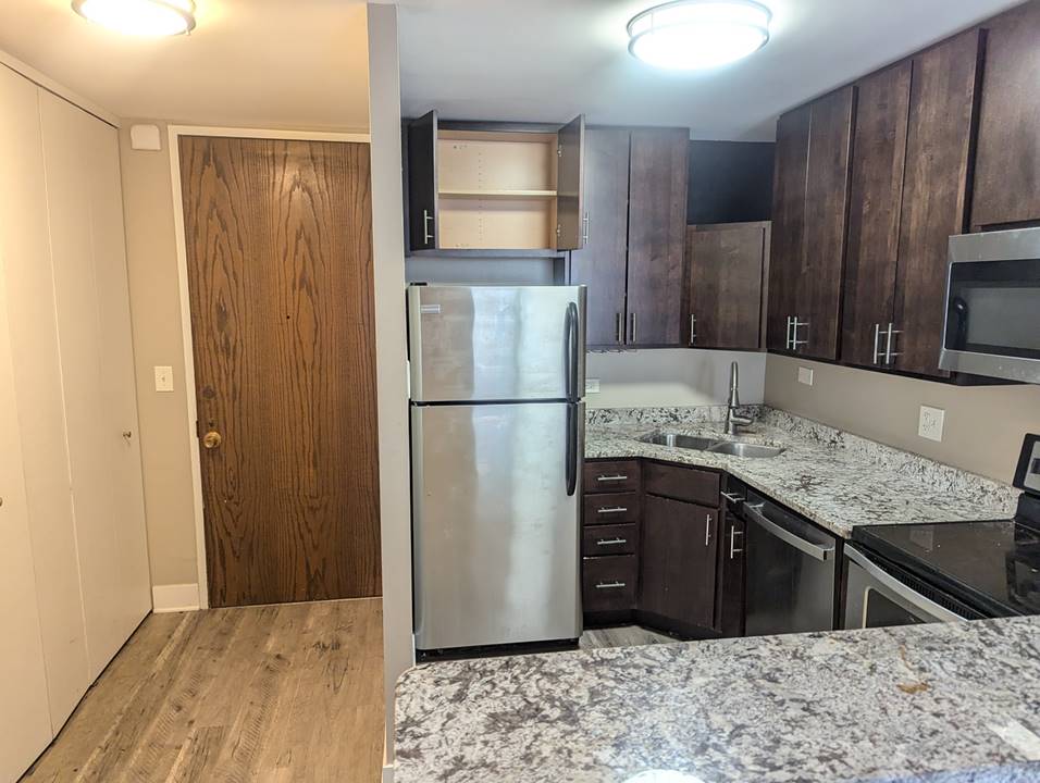 720 W Gordon, Apt 6N, Chicago, IL 60613 - Uptown
