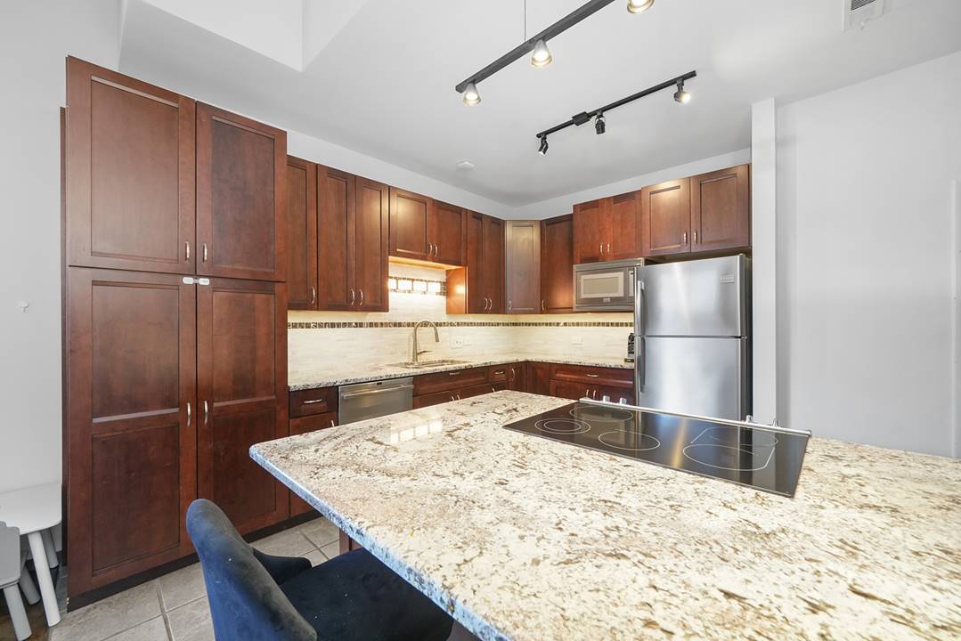 2255 N Wayne, Unit C1, Chicago, IL 60614 - Lincoln Park