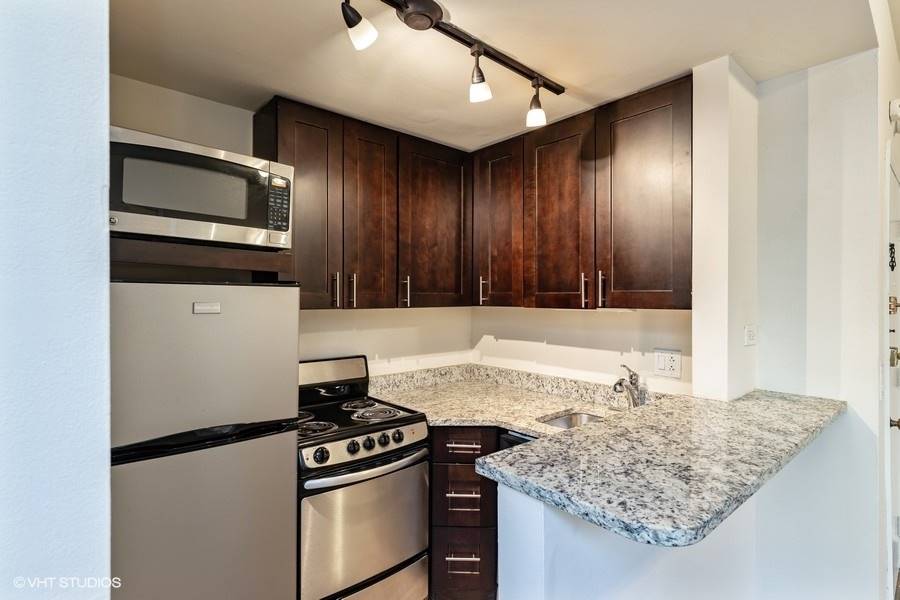 1430 N Dearborn, Apt 101, Chicago, IL 60610 - Gold Coast